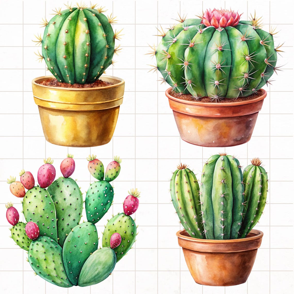 Watercolor Cactus Clipart Bundle: Desert Floral Illustrations (PNG ...