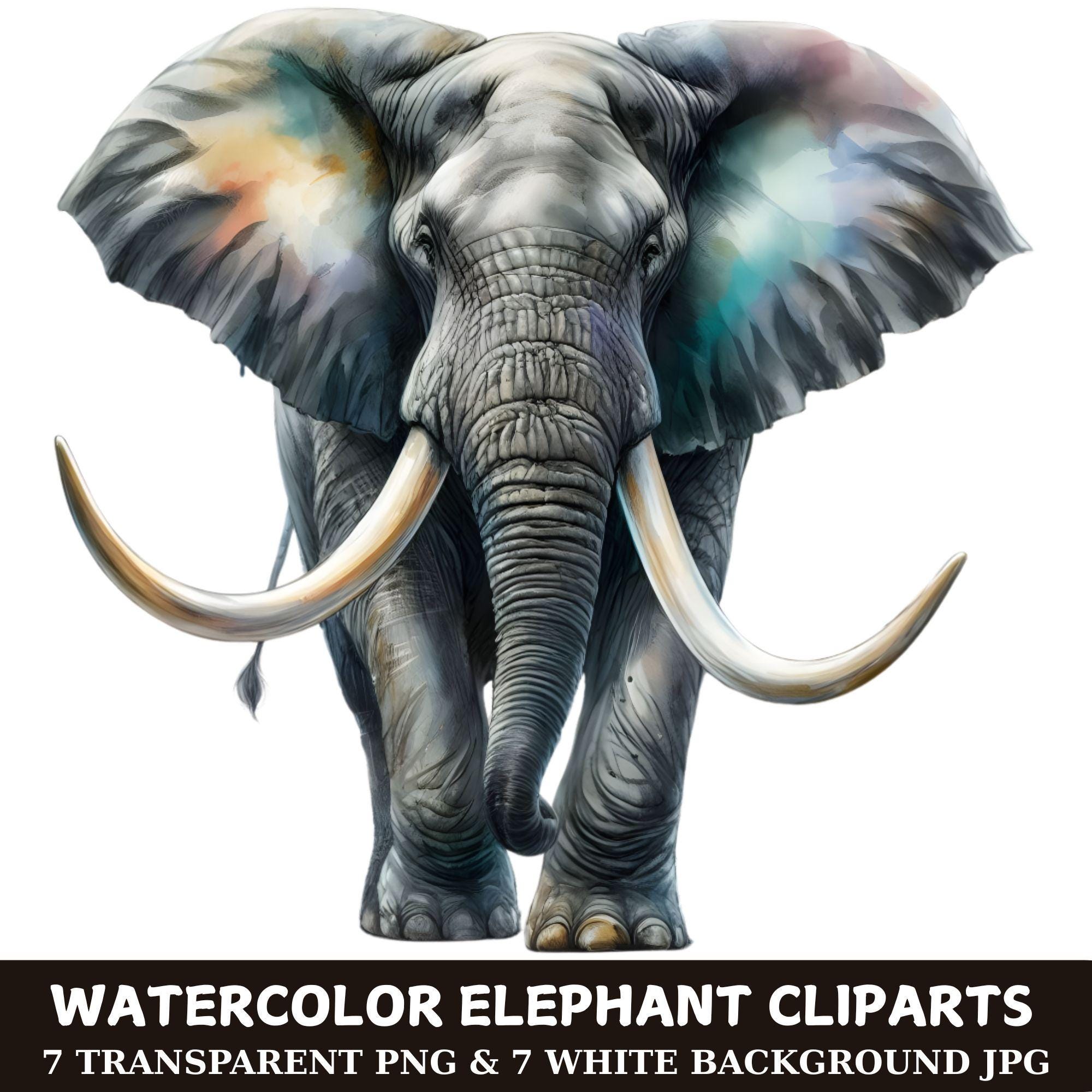 Watercolor Elephant Clipart Bundle: Nursery Decor, Scrapbooking ...