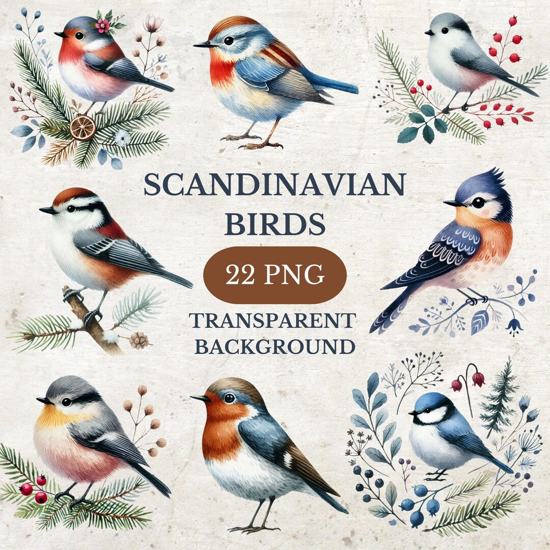 Scandinavian Birds Clipart, 22 Transparent Png, Floral Bird, Printable ...