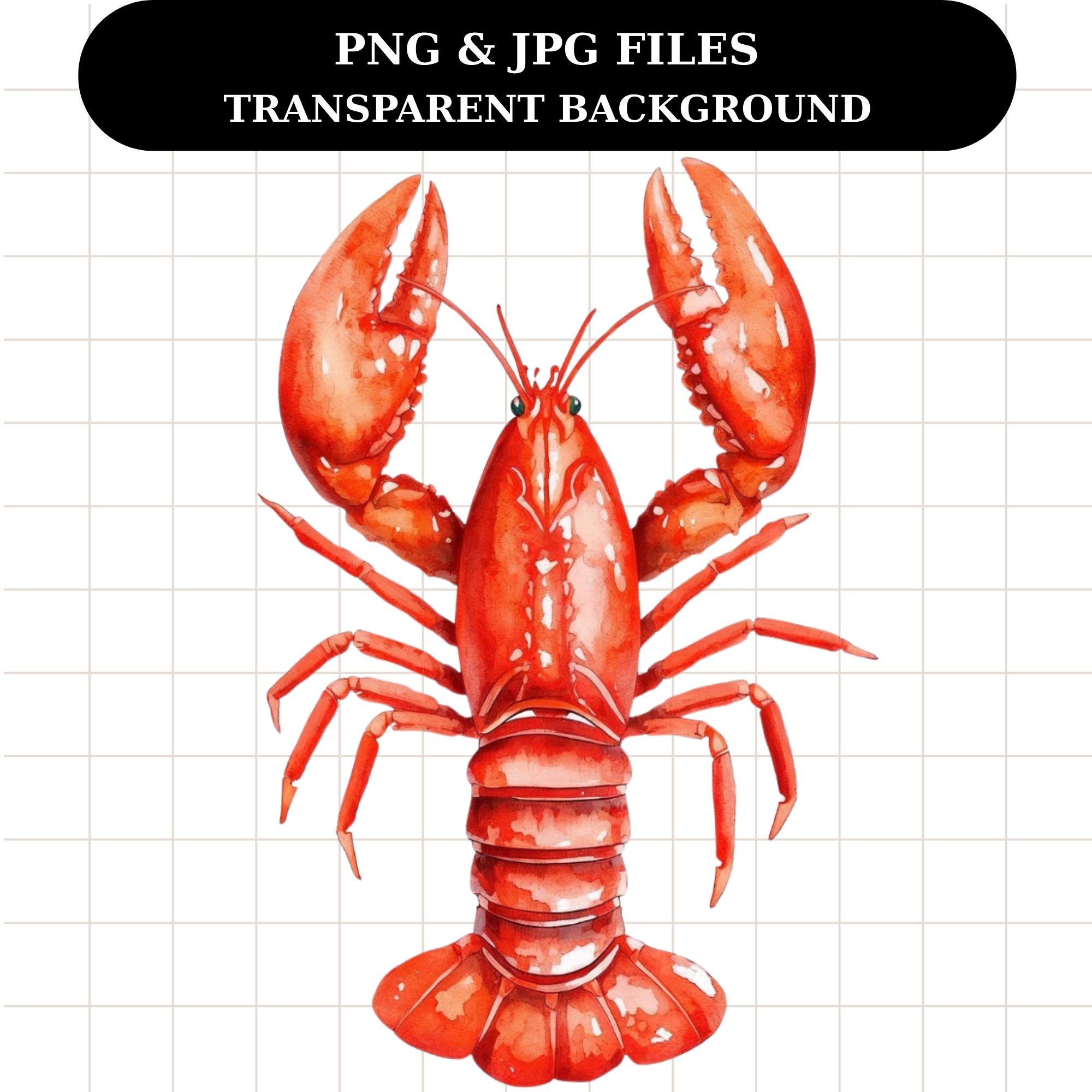 Watercolor Red Lobster Clipart: PNG & JPG, 4000 X 4000 Px, 300 Dpi ...