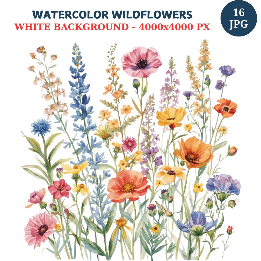 Well Defined Wildflower Clipart Bundle, 16 JPG, Watercolor Flowers ...