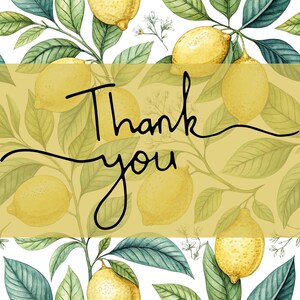 Lemon Clipart Bundle: 25 PNG Illustrations (digital Download) - Etsy