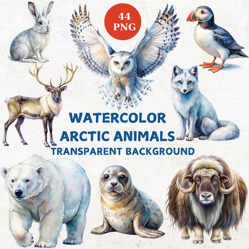 Watercolor Arctic Animals Clipart Bundle, 44 Transparent Background Png ...