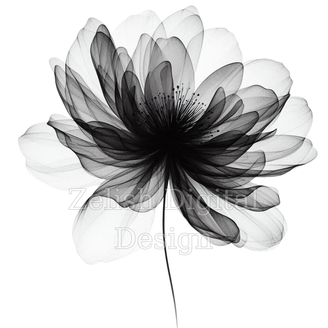 Abstract Black Flowers Clipart Bundle: Watercolor PNG, Digital Download ...