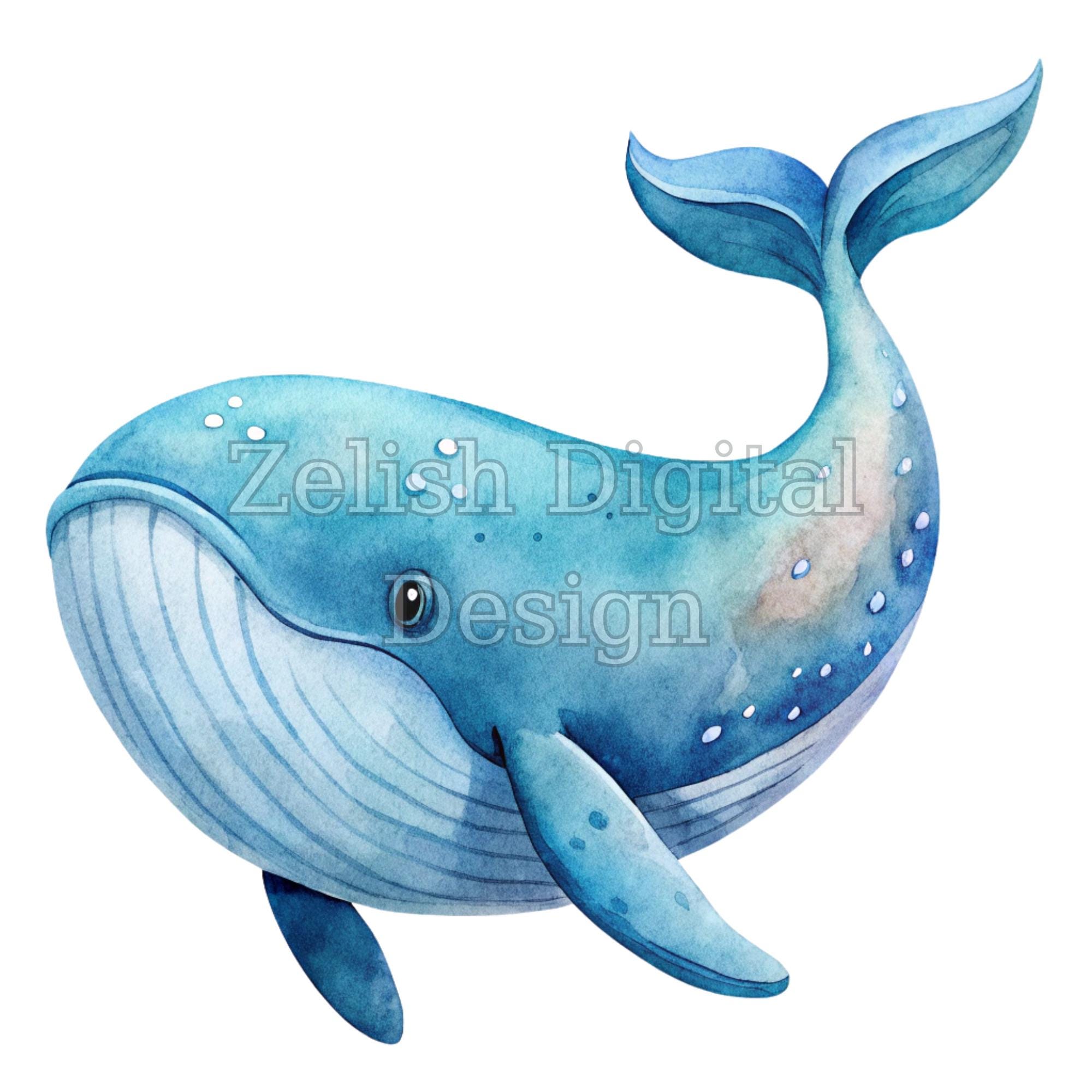 Watercolor Whale Clipart Bundle, Cute Whale Illustration, Printable ...