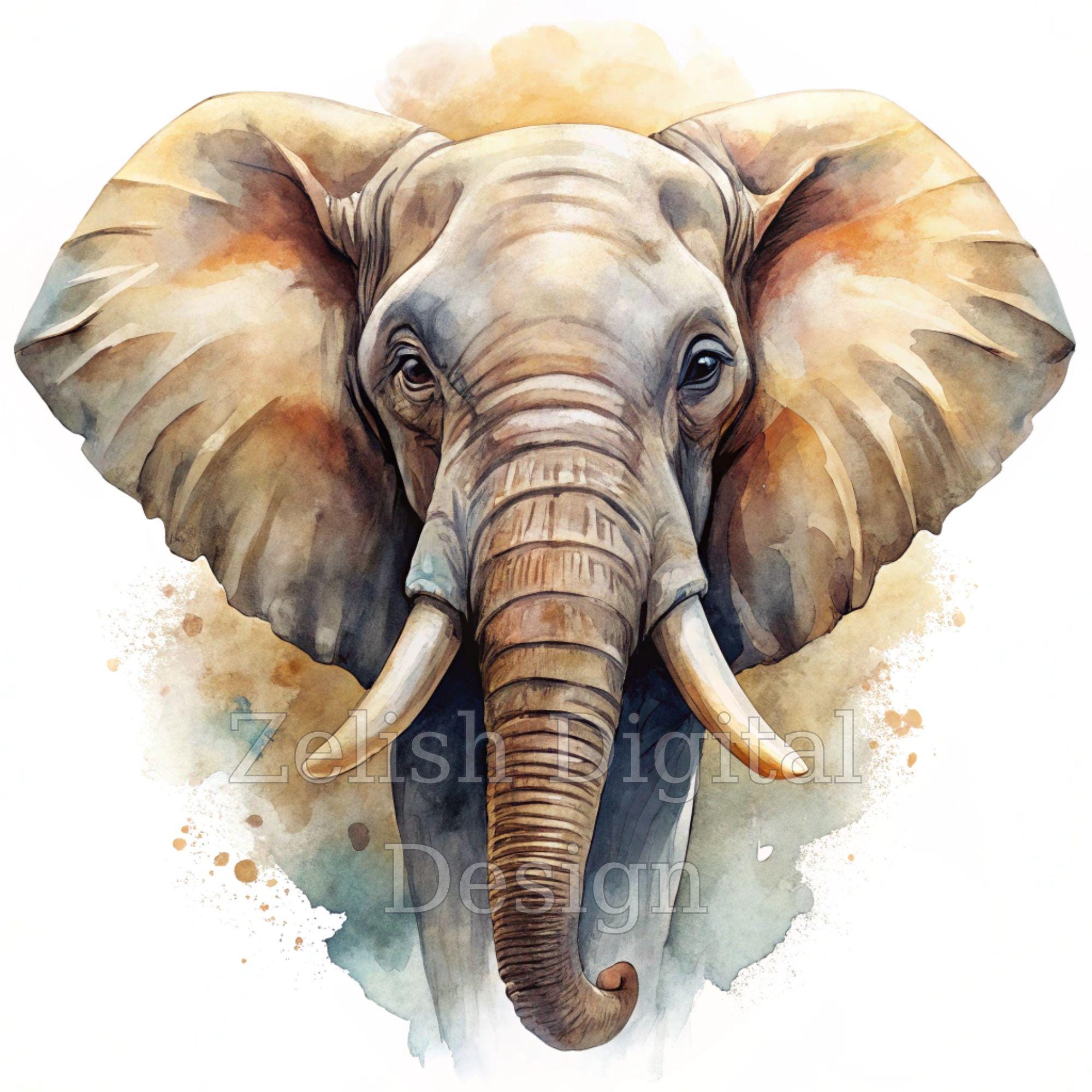 Watercolor Elephant Clipart Bundle: Nursery Art, Scrapbooking (digital ...