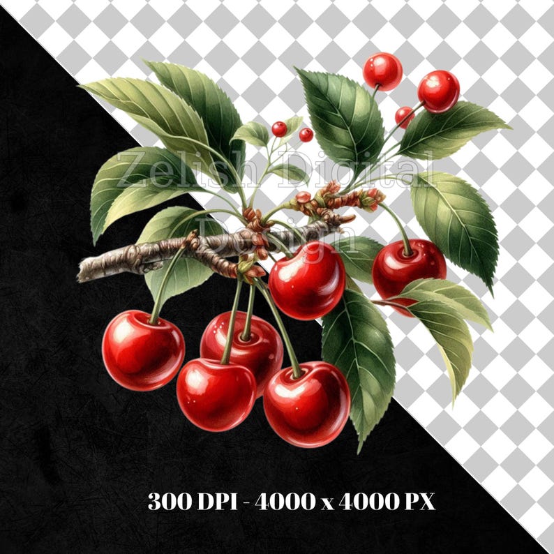 Watercolor Cherry Clipart Bundle: Floral Fruit PNG (digital Download ...