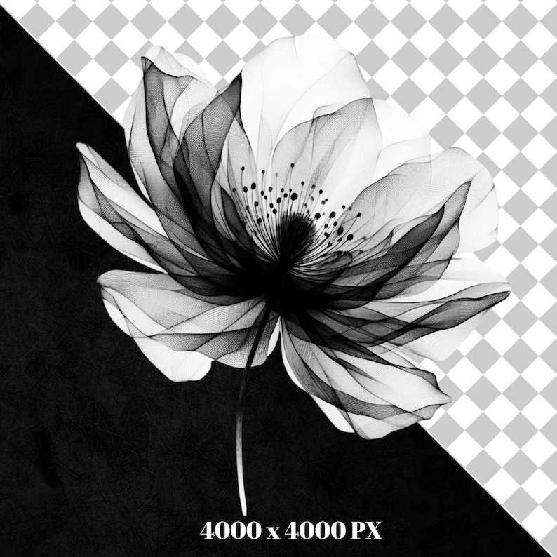 Abstract Black Flowers Clipart Bundle: Watercolor PNG, Digital Download ...