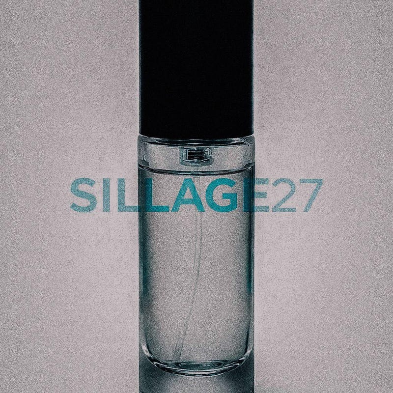 Midnight Perfume Jasmine Seeds - Etsy