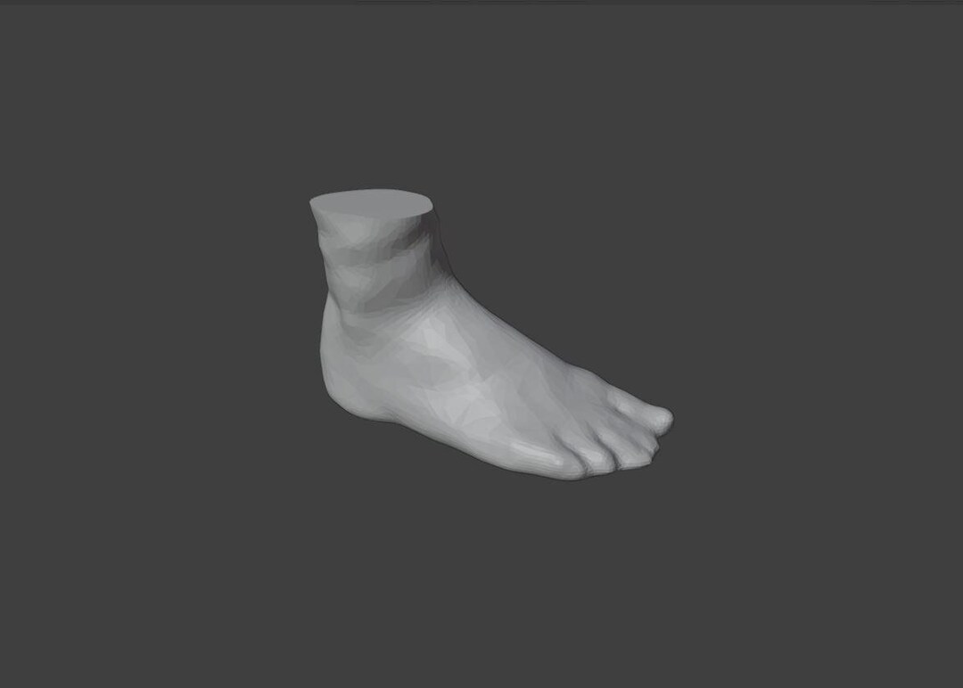 Human Foot 3D Scan STL - Etsy