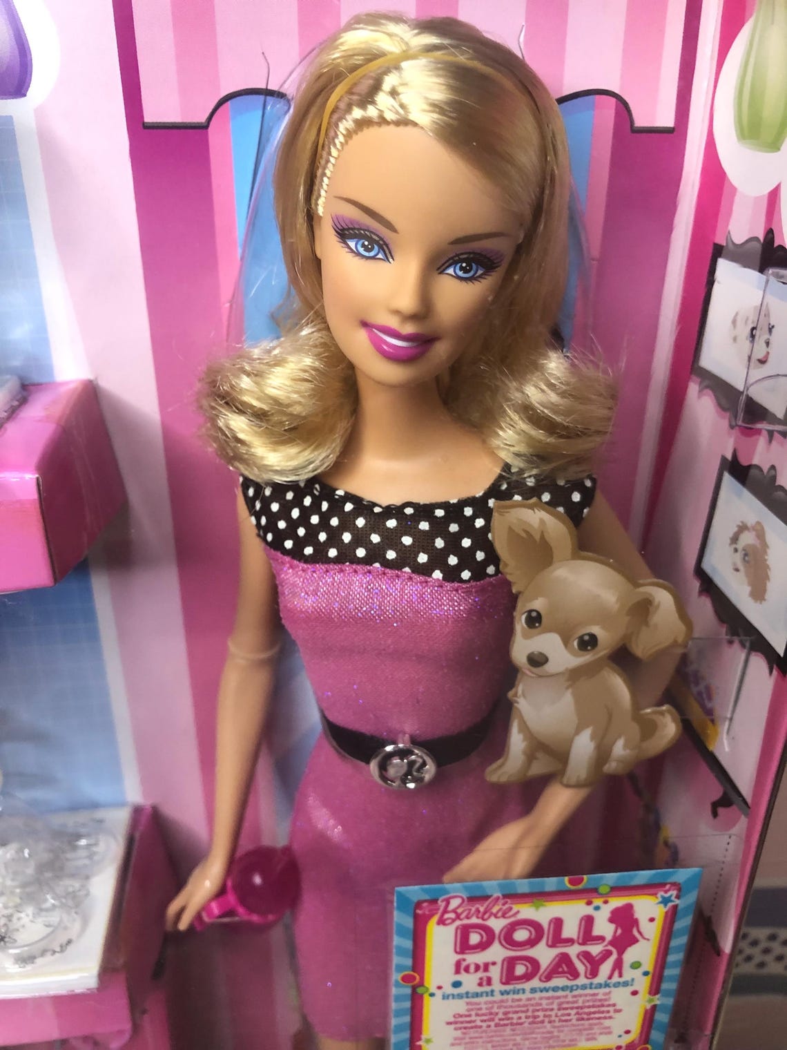 Barbie With Potty Training Pups and Accessories. - Etsy