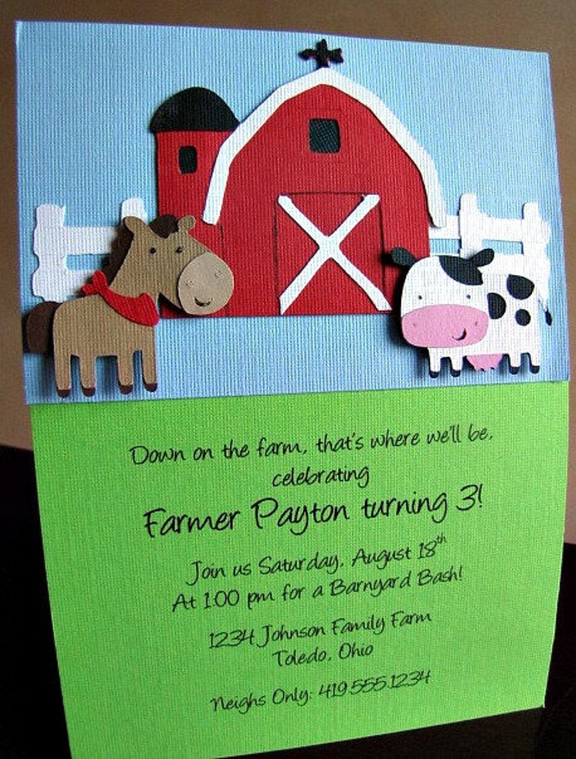 Farm Party Invitations Barn Animal Birthday Invites Set of - Etsy