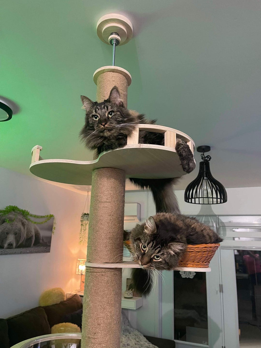Kitty Kingdom Cat Tree - Etsy