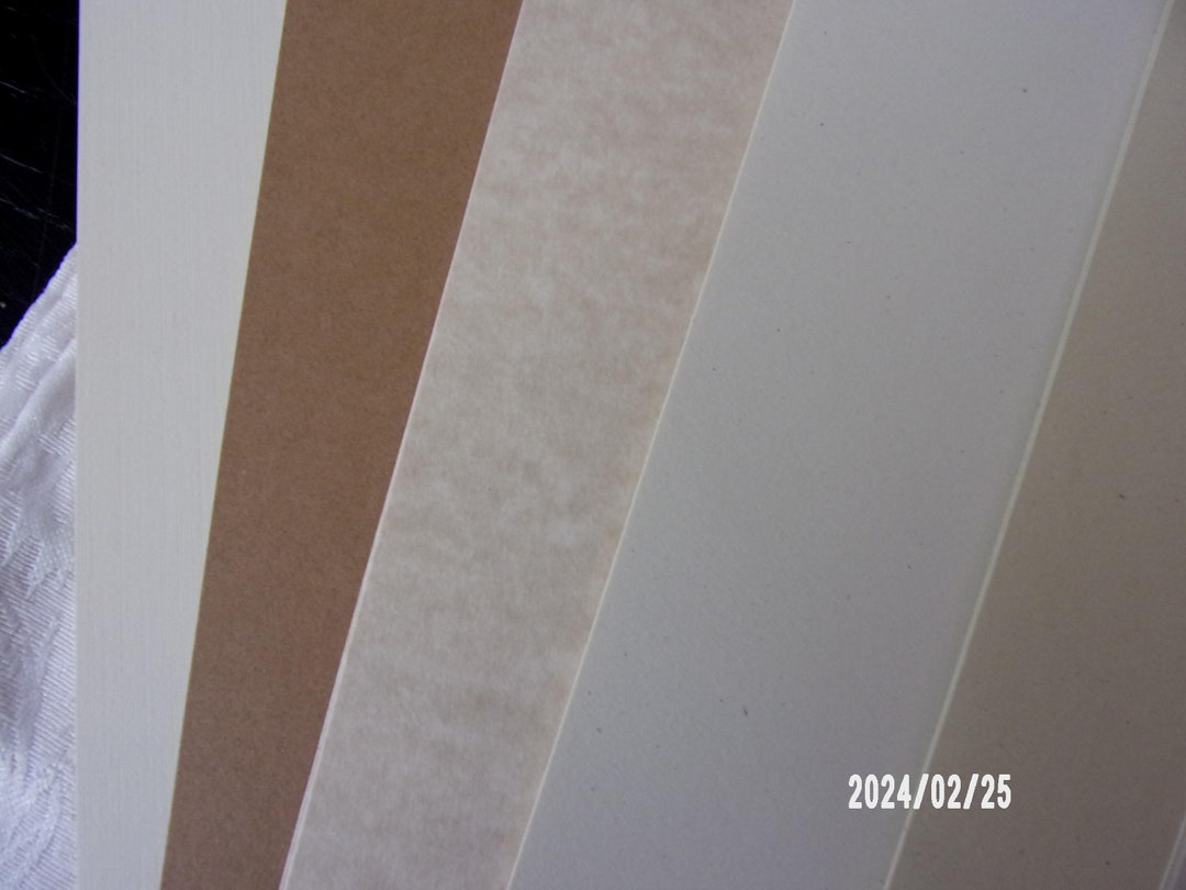 Cardstock Variety Pack Neutral Colors for Crafting Projects Card Making ...