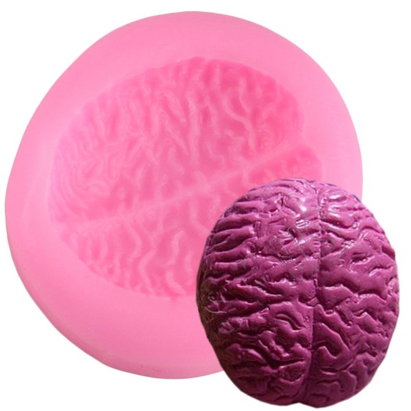 Brain Candy Mold - Etsy