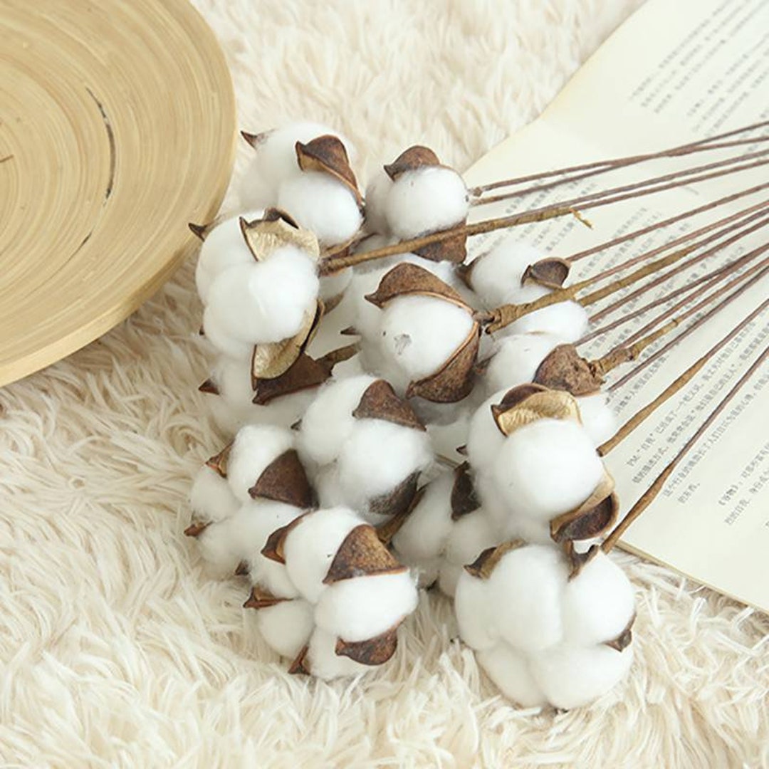 10PCS/LOT DIY Naturally Dried Cotton Stems Farm House - Etsy