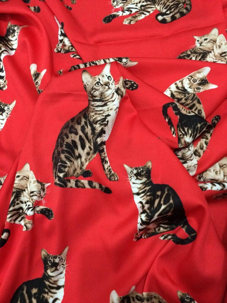 Polyester Seide Satin Stoff Tier rote Katze Druck Seide - Etsy.de