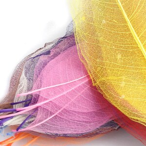 50pcs Natural Magnolia Skeleton Leaf Leaves Card Scrapbooking DIY Mixed ...