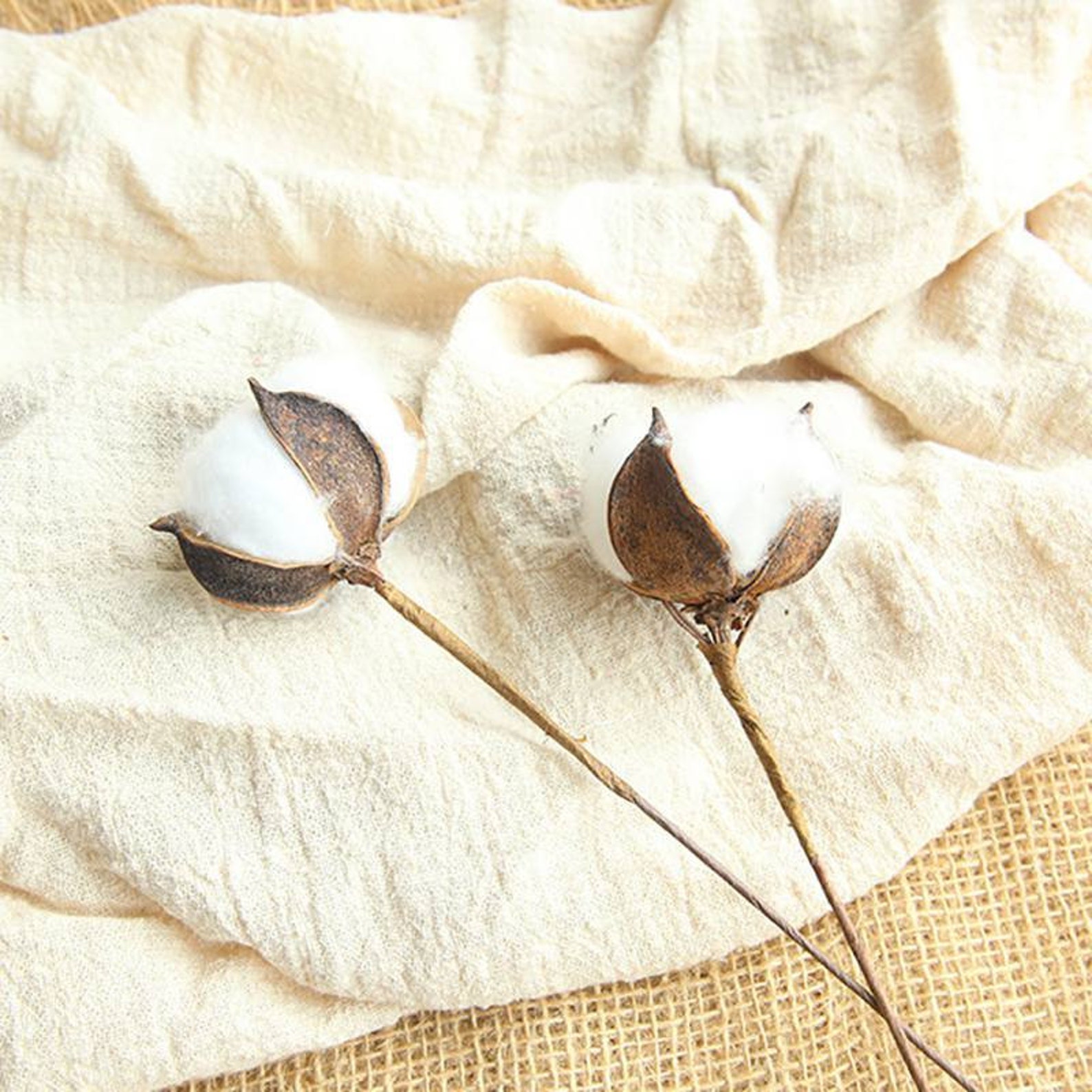 10PCS/LOT DIY Naturally Dried Cotton Stems Farm House - Etsy