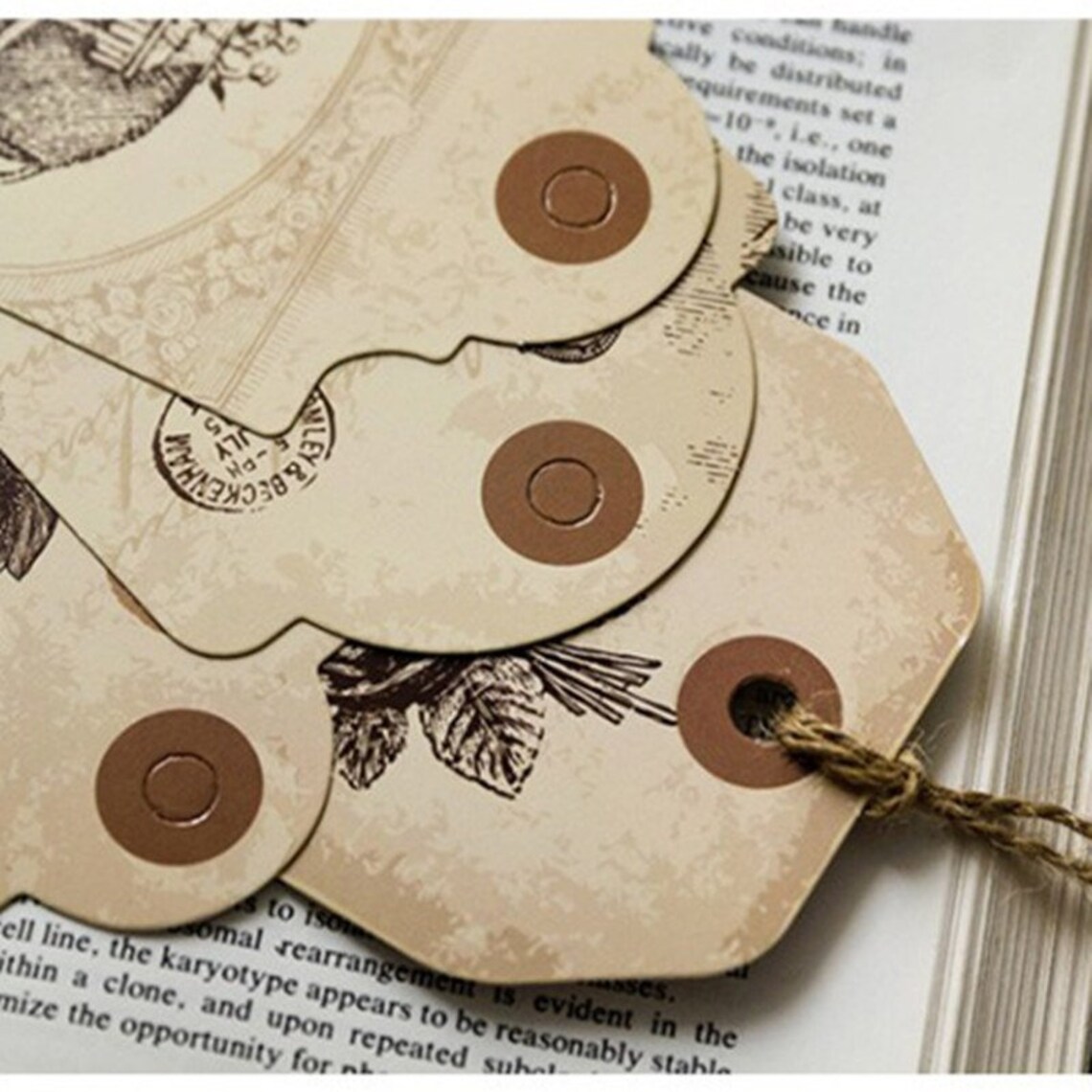 MO. Card Vintage Mark Postcard Greeting Card Letter Paper - Etsy