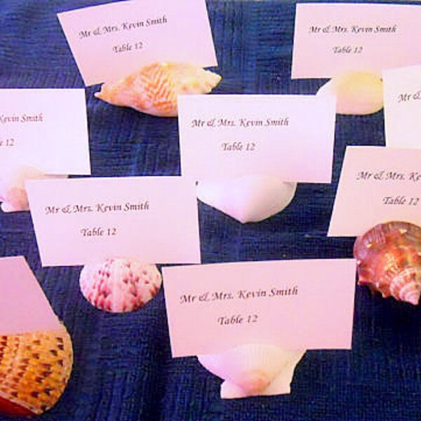Sea Shell Name Card - Etsy
