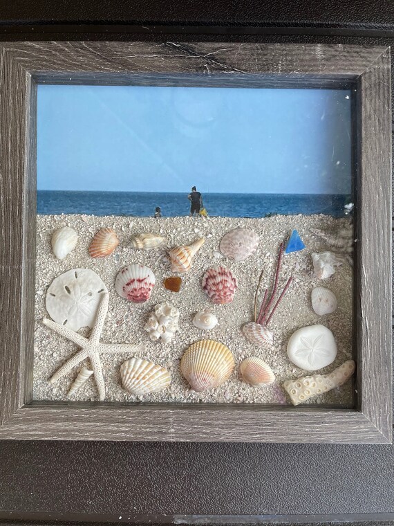 Papercraft Seashell and Sand Shadow Box Framed Decorative Sea Shell ...