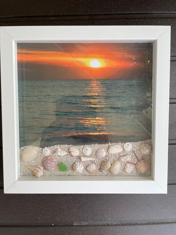 Papercraft Seashell and Sand Shadow Box Framed Decorative Sea Shell ...
