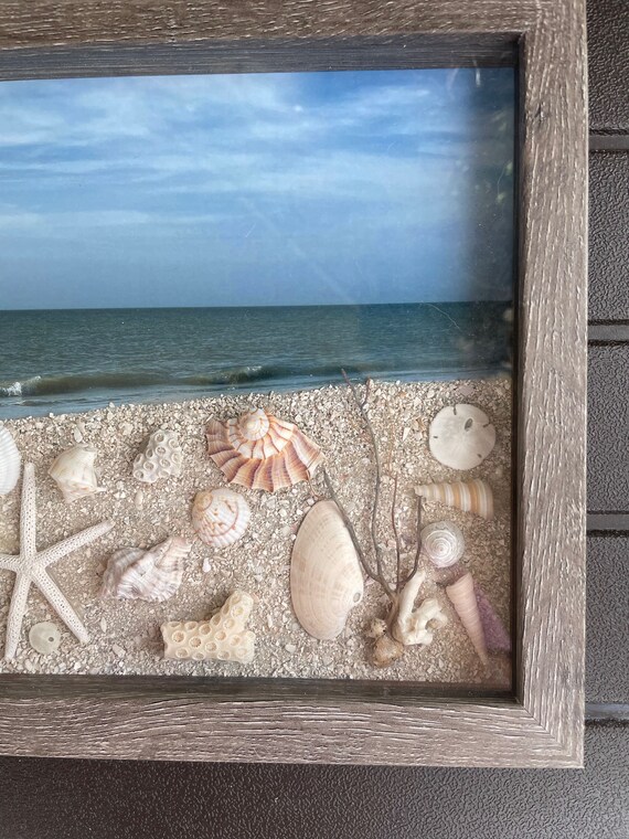 Papercraft Seashell and Sand Shadow Box Framed Decorative Sea Shell ...