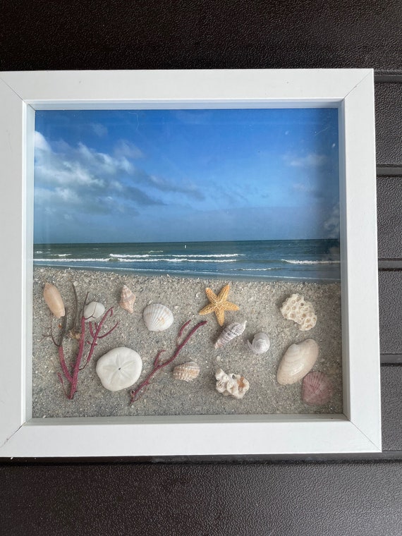 Scrapbooking Paper, Party & Kids Seashell and Sand Shadow Box Framed ...