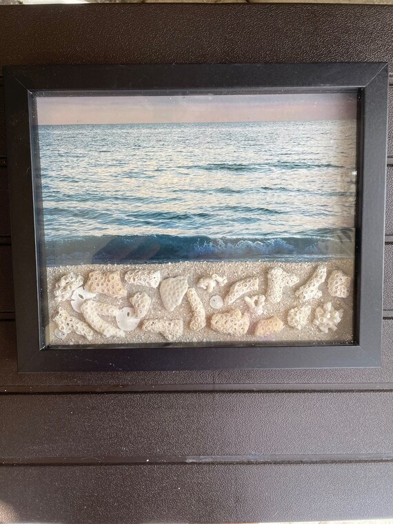 Papercraft Seashell and Sand Shadow Box Framed Decorative Sea Shell ...