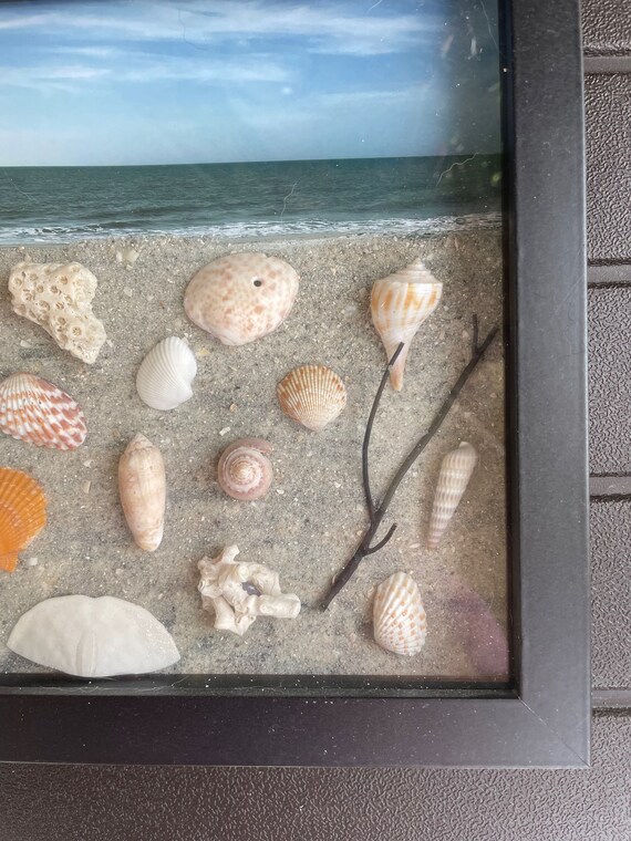 Papercraft Seashell and Sand Shadow Box Framed Decorative Sea Shell ...