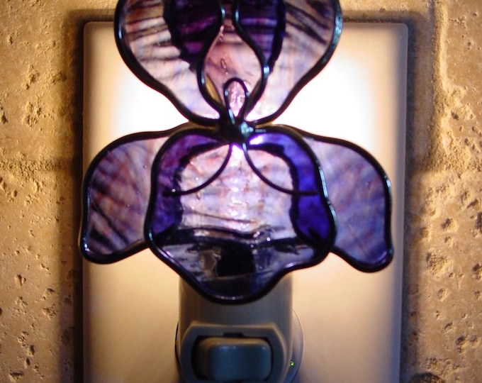 Shades of Purple and Blue Iris Night Light - Etsy
