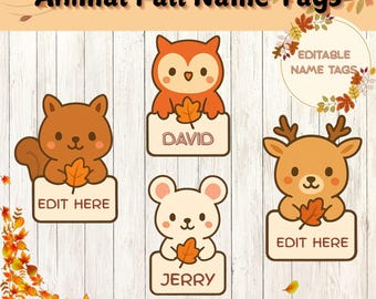 Summer Ice Creams Name Tags Editable Desk Plates , Cubby Name Tags ...