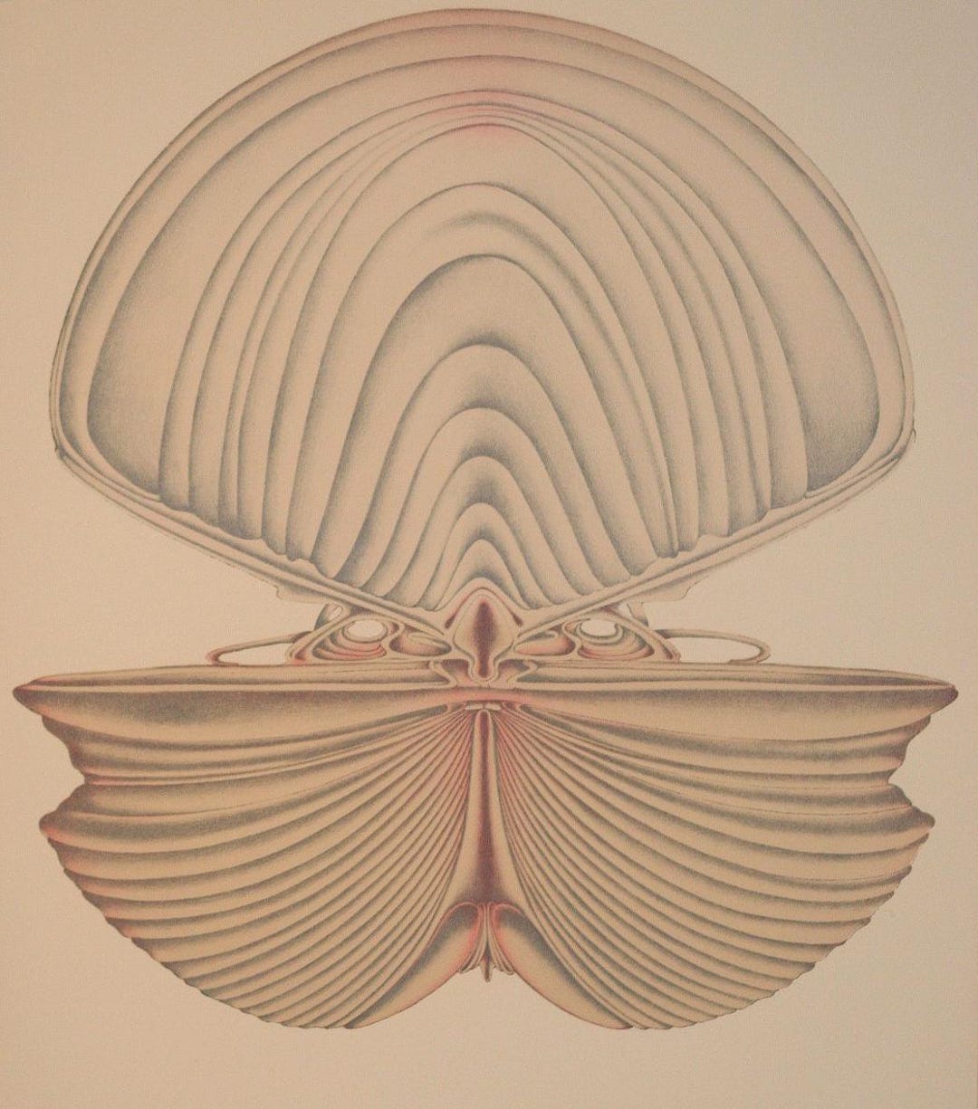 ORIGINAL Lithographs,lithographs, Art Prints,affordable Prints,original ...