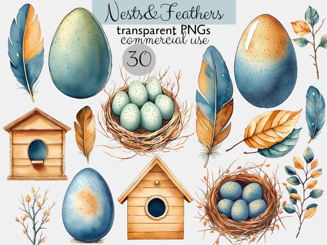 Nests & Feathers Spring Clipart | Feather Clipart | Nest Clipart ...
