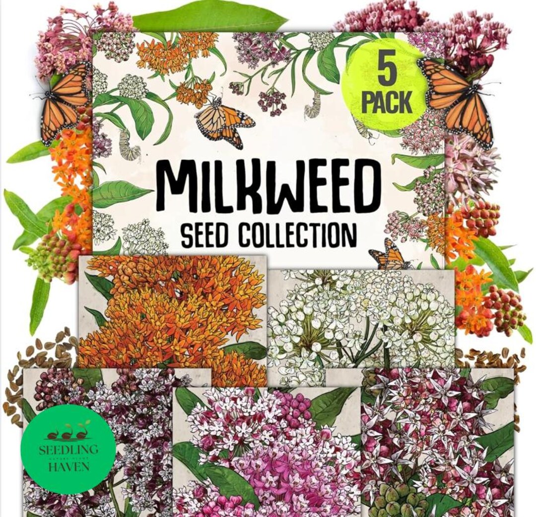 Milkweed Seed Packet Collection to Attract Monarch Butterflies (5 ...