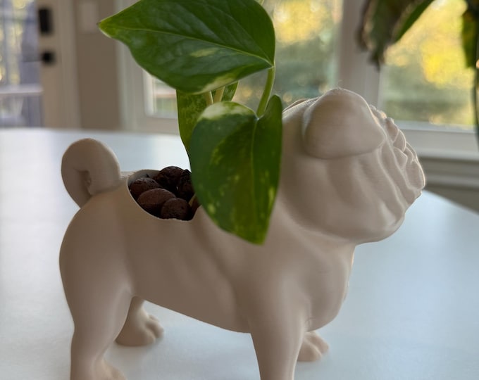 Pug Planter, Dog Plant Pot, Succulent Pot, Ceramic Pug Pot - Etsy