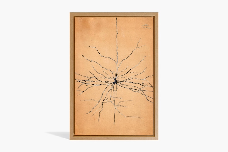 Santiago Ramón Y Cajal,vintage Neuron Drawing, Light Academia Aesthetic ...
