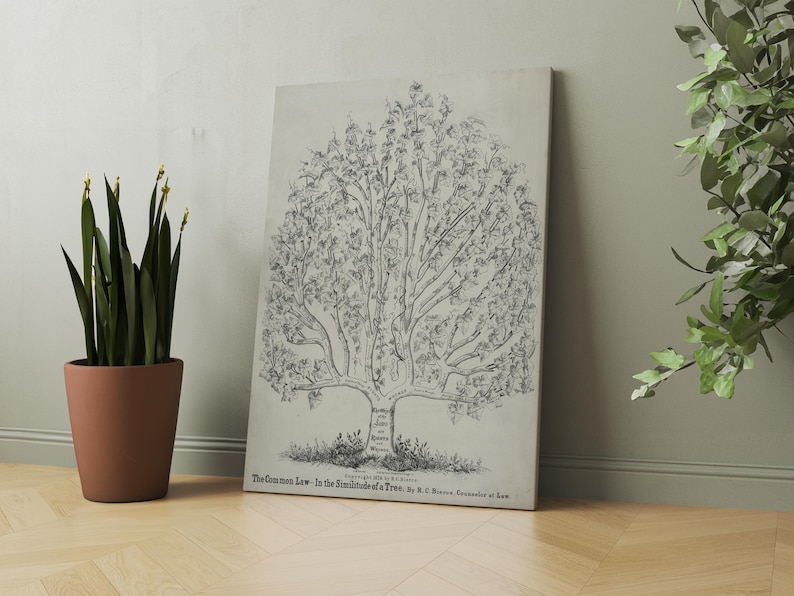 1878 Tree of Law Chart Diagram,law Poster,law Tree Print,lawyer Office ...