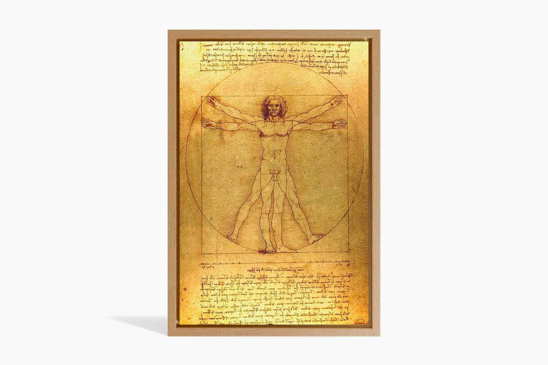 Vitruvian Man,leonardo Da Vinci Poster,leonardo Da Vinci (circa 1492 ...