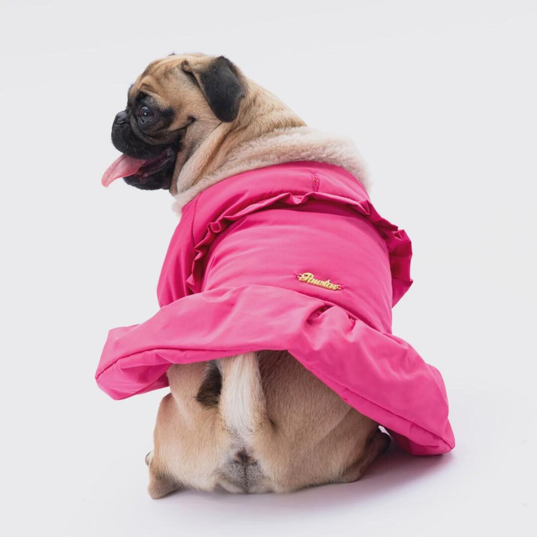 Fuchsia Dog Raincoat: Waterproof Pet Jacket With Hood - Etsy