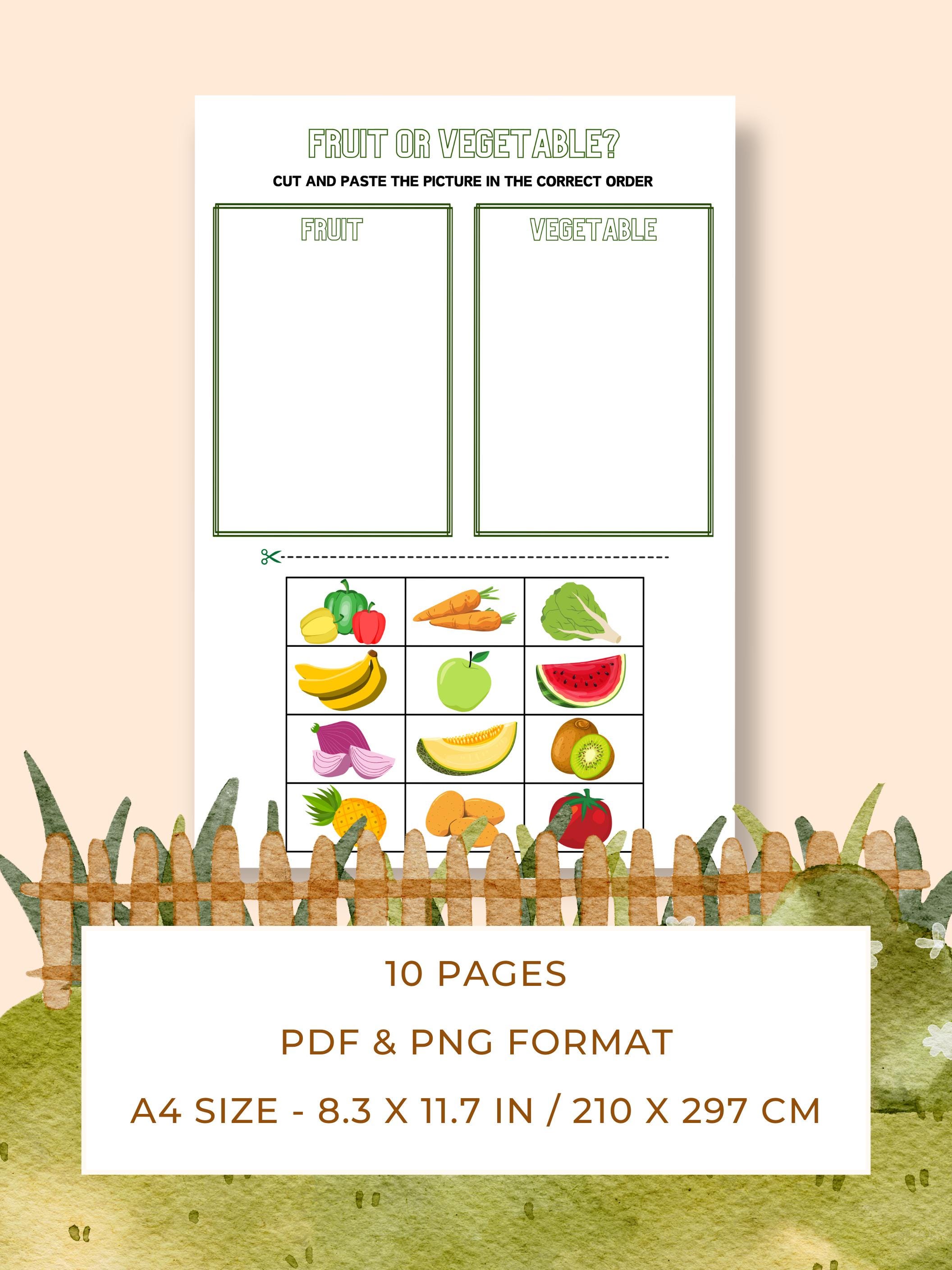 Printable Sorting Activity for Kids, Educational Sorting Game ...