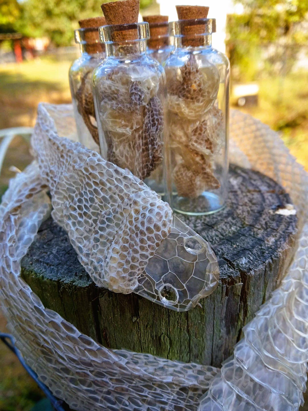 Serpent’s Skin Spell Bottles - Etsy