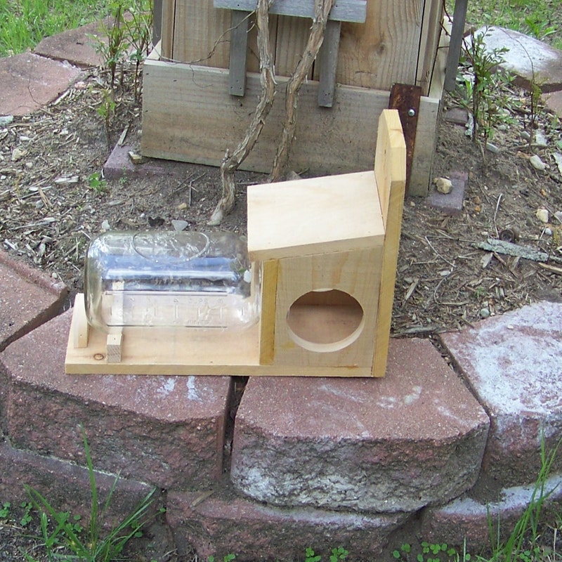 Squirrel Feeder Outdoors - Etsy