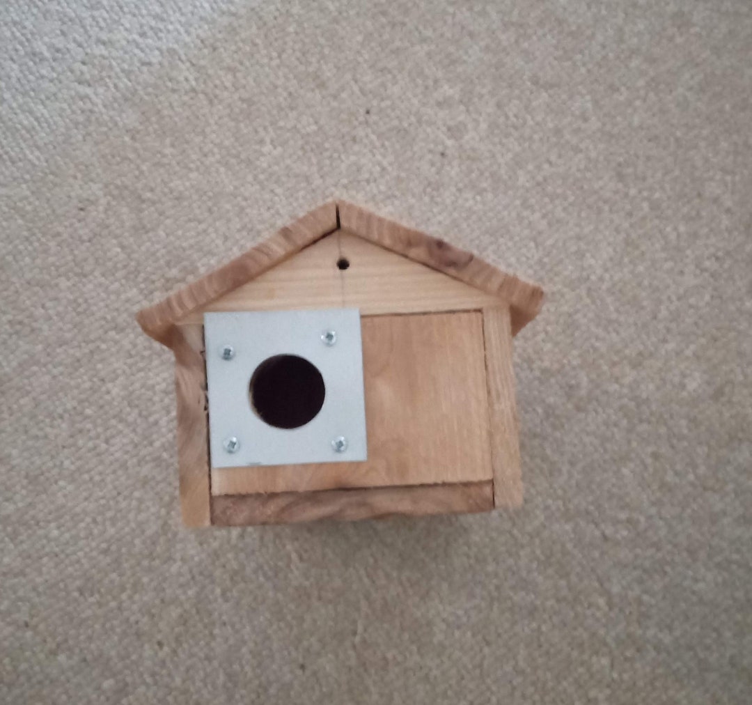 Chipmunk House or Nursery - Etsy