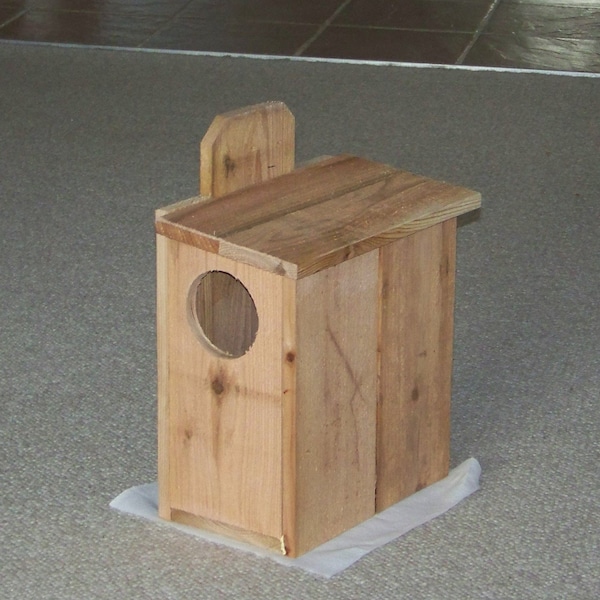 Squirrel Boxes - Etsy