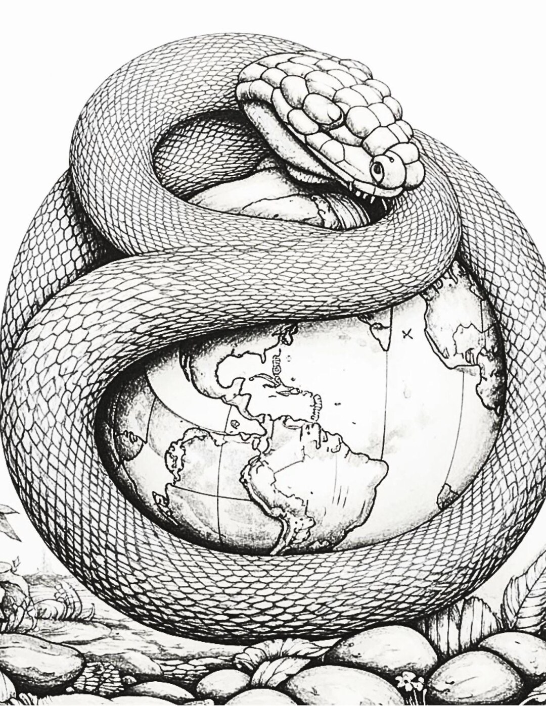 The Coming Year of the Wood Wise Snake. 51 in 2 Files Coloring Digital ...