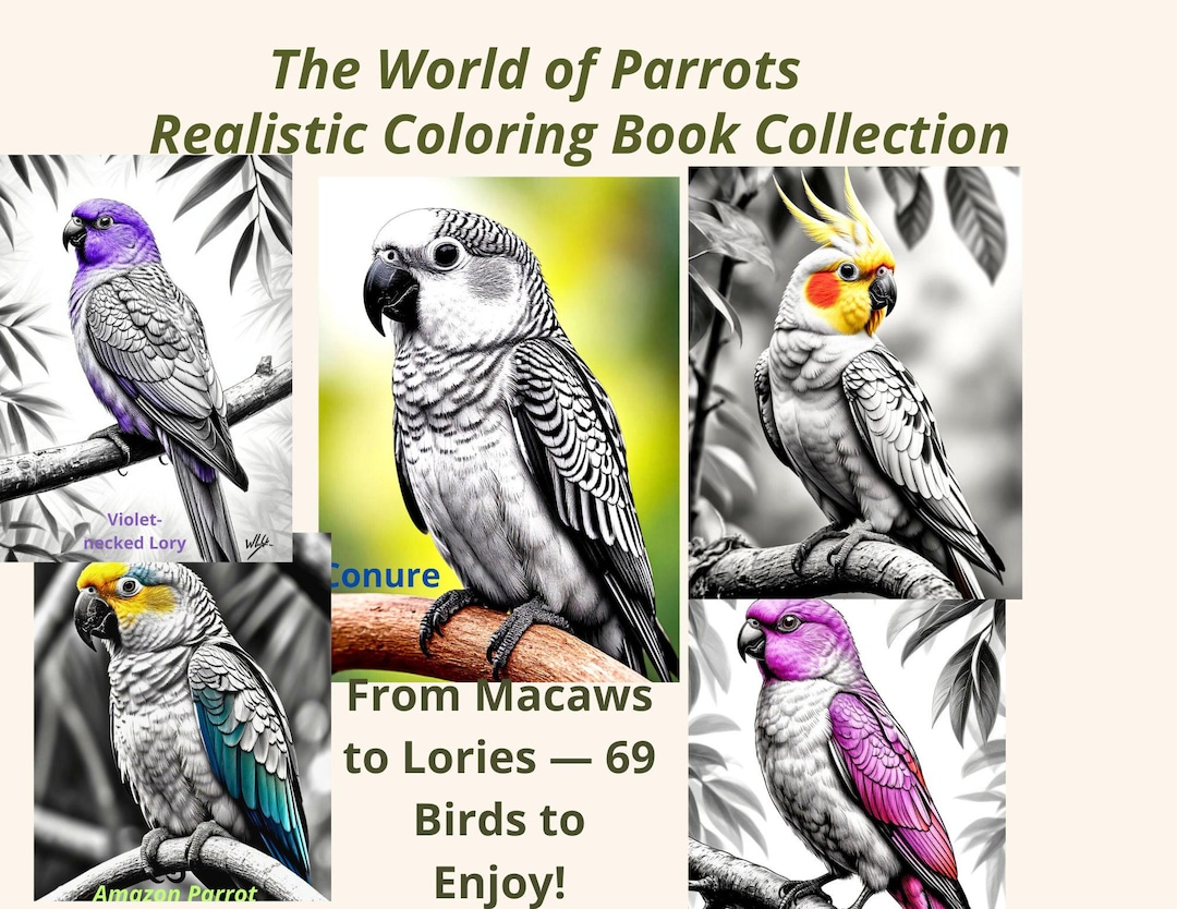The World of Parrots – Realistic Coloring Book Collection | 69 Parrot ...