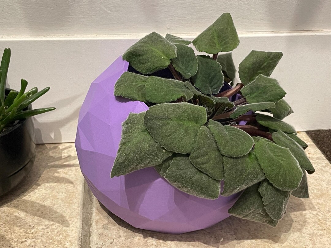 African Violets Planter With Slanted Top - Etsy
