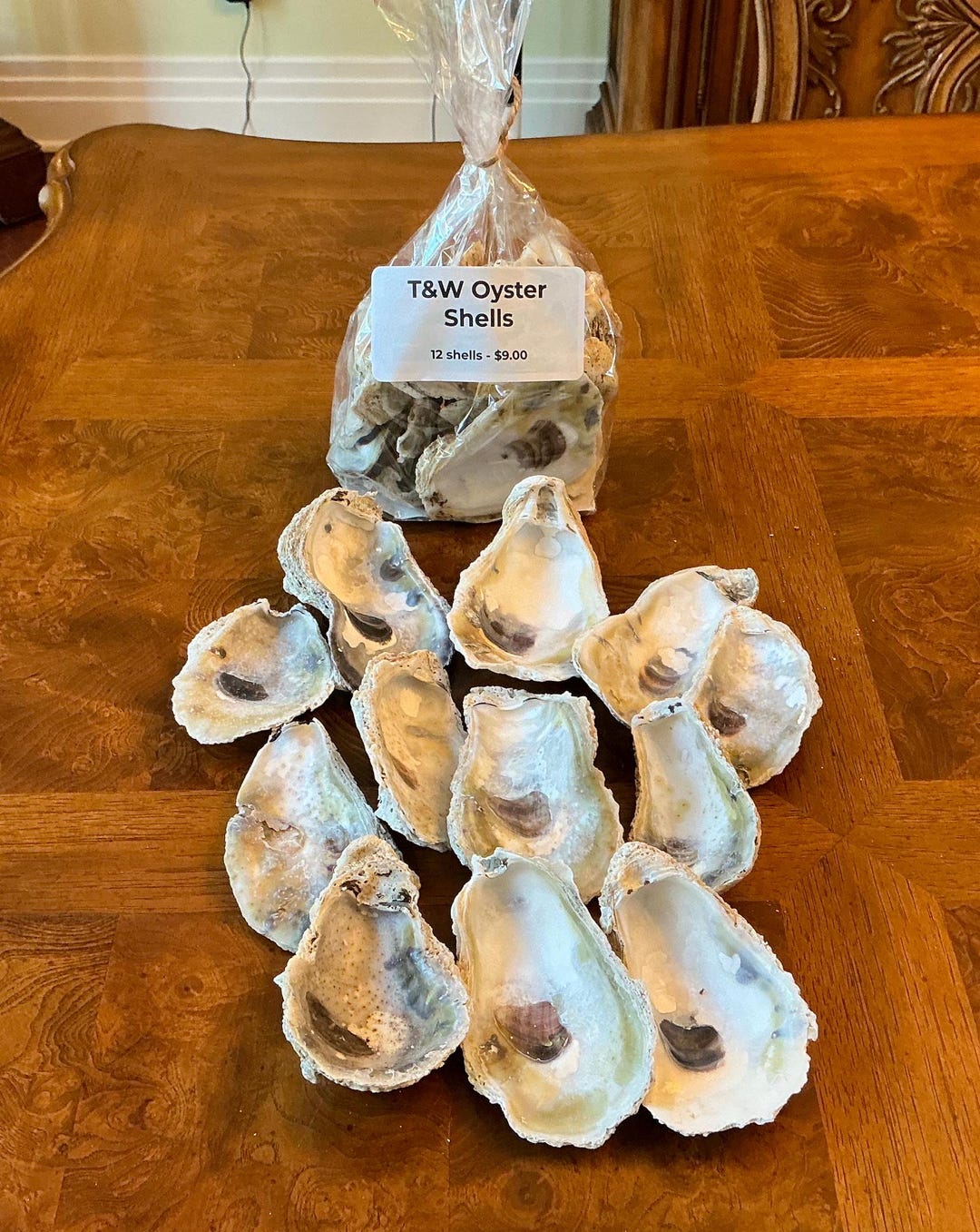 Large Bleached Oyster Shells - Etsy